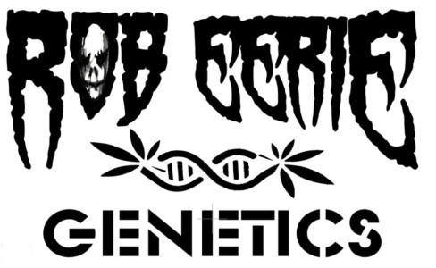 Murder pop god | Rob Eerie Genetics