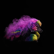 Family, Newborn & Maternity Photographer Maine | Elusive Photography