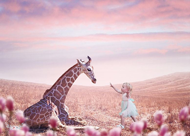 Maine Kids Photographer | Maine | Elusive Photography