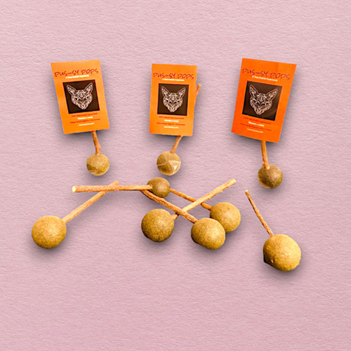 Pus-sy Pops pack | Bark N Meow
