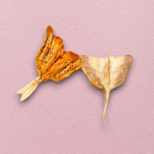 Red Eye Butterfly Snapper Tail - Single Pack | Bark N Meow