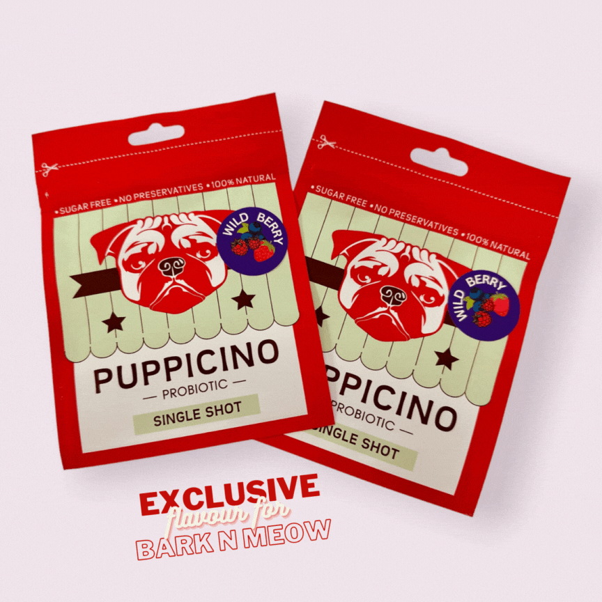 All Products | Bark n Meow Online Pet Supply Store