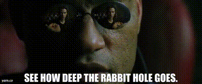 Welcome to "The Rabbit Hole"