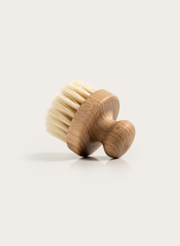 Wood Brush | SustainaLab