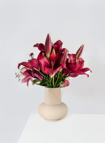 One Dozen Specialty Roses | Making Memories