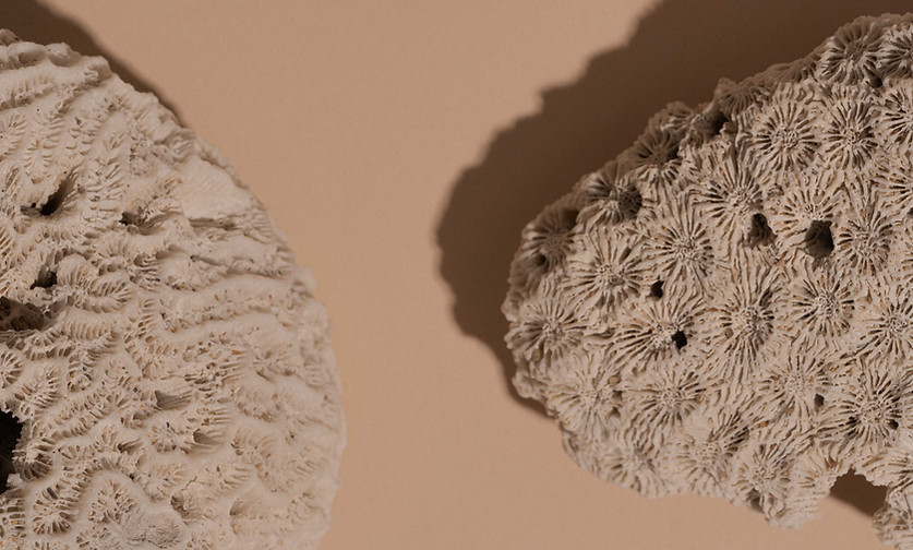 VENUSIA | Aesthetic Medical Clinic | DR ROD PARNIAN