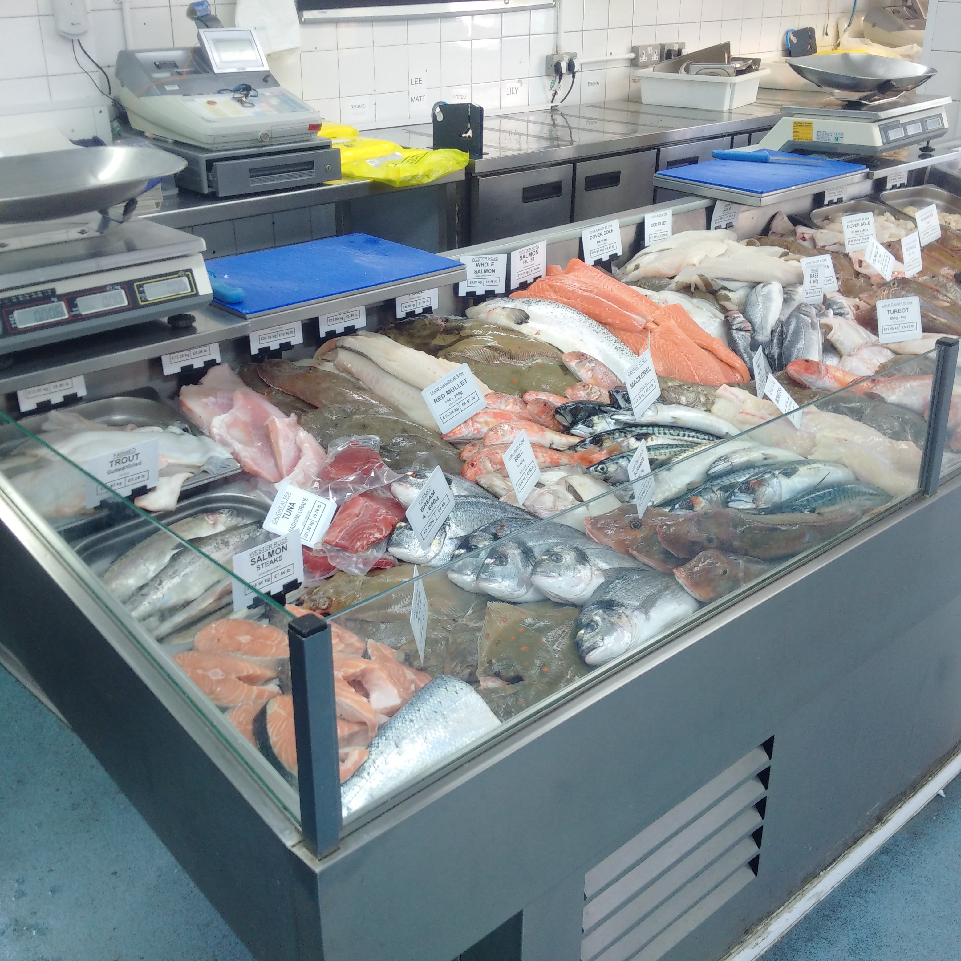 Fish Display | XL Refrigerators Ltd