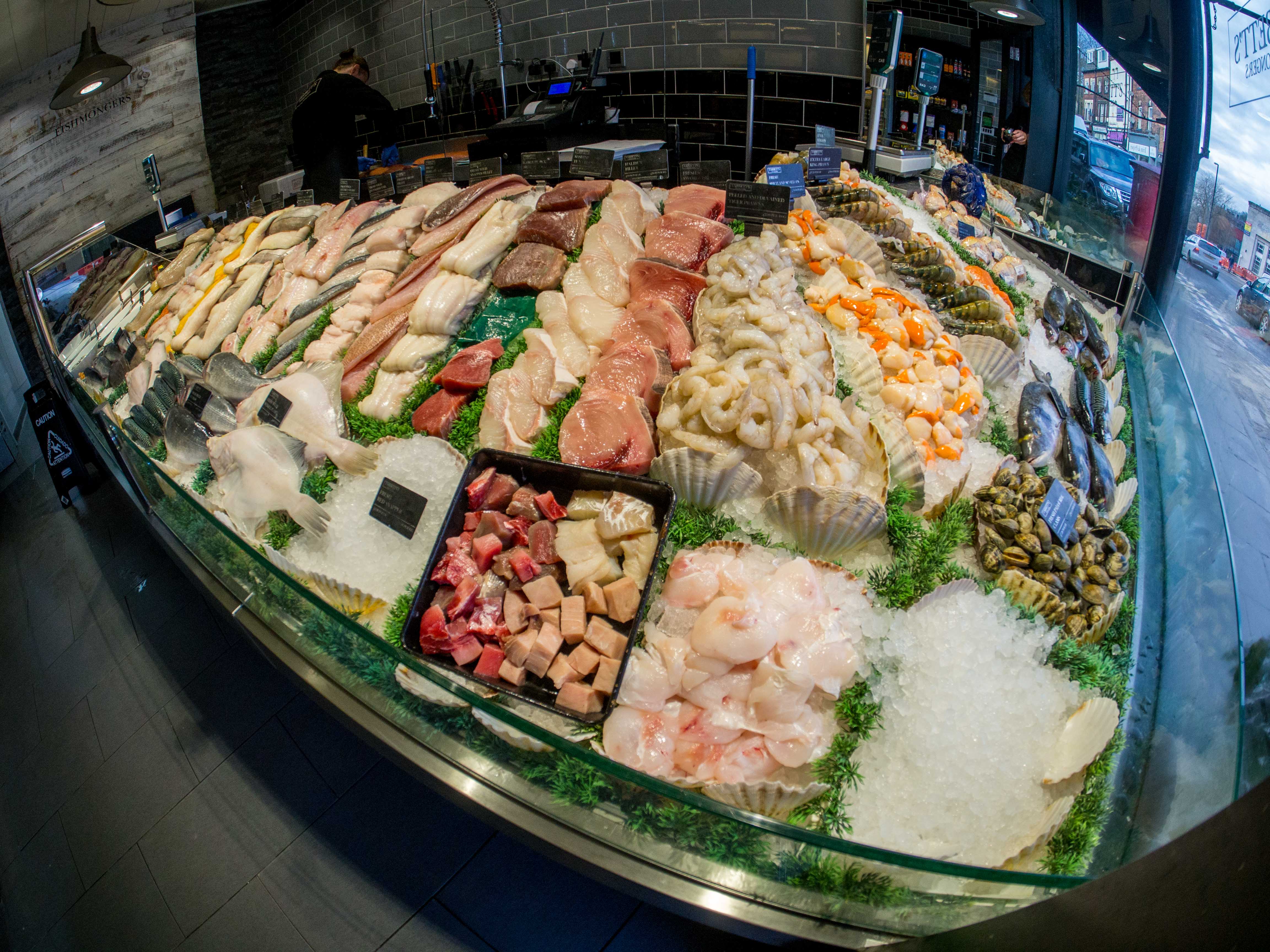 Fish Display | XL Refrigerators Ltd