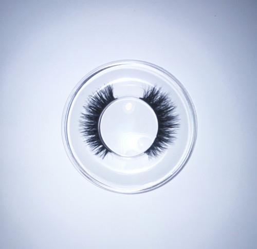 Mini Prodigy | dancelashes