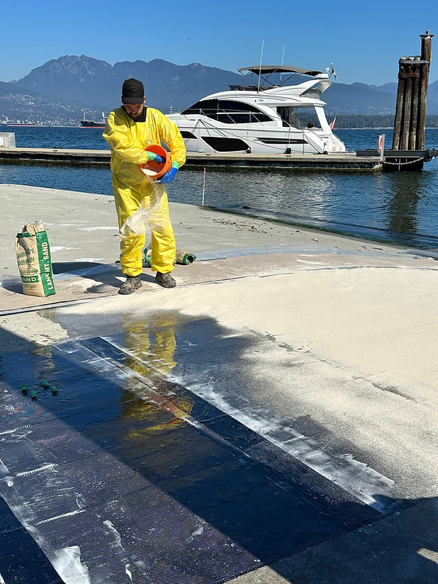 Sea Wall & Marine Reinforcement | Structural Reinforcement Solutions