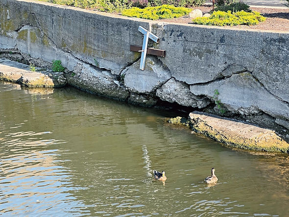 Sea Wall & Marine Reinforcement | Structural Reinforcement Solutions