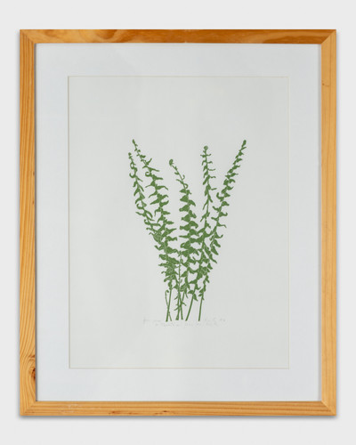 1976 Linocut Print of Ferns by California Artist Henry Evans, Pencil ...