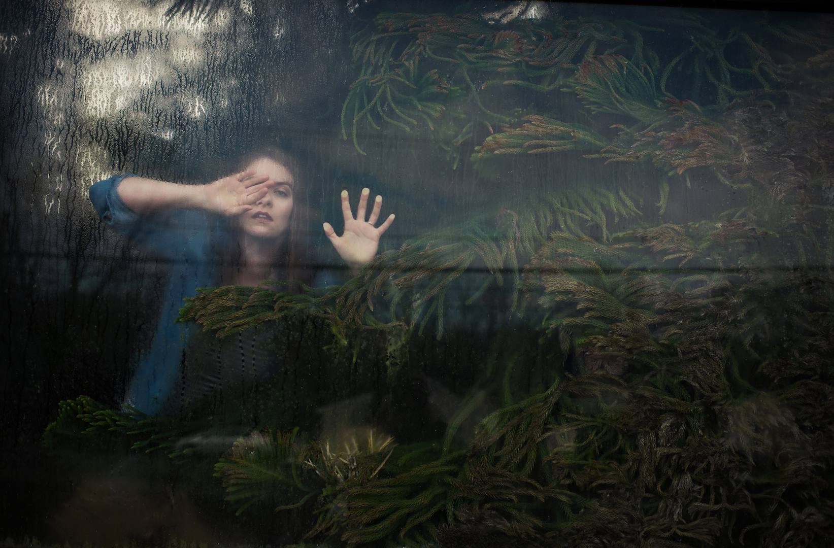 10 Tips for Taking Creative Risks (A Guide for Photographers)