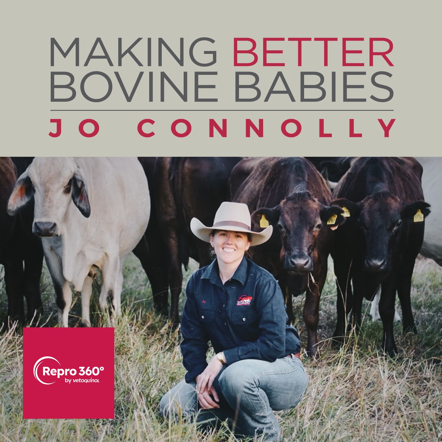 Getting started in Artificial Insemination in Beef Cattle with Jo Connolly