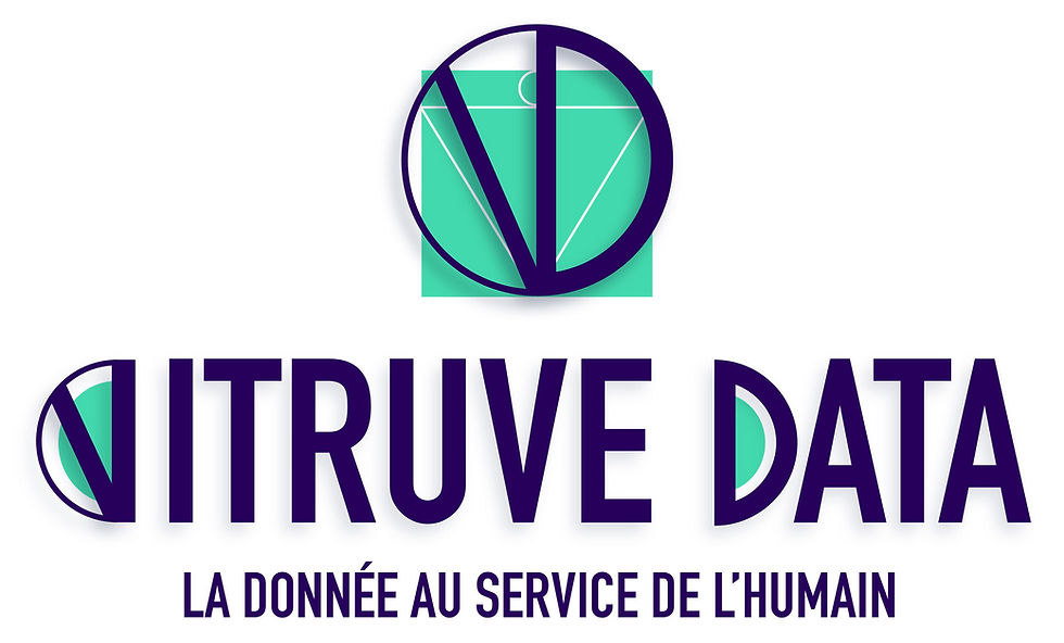 Vitruve DATA | La donnée au service de l'humain I Expert Power BI