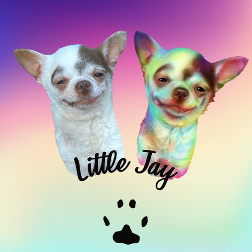 Aug 2021 - Little Jay | Misfit of the Month