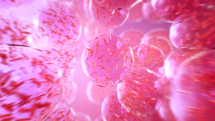 Medical Animation Videos | Our Work | Madmicrobe