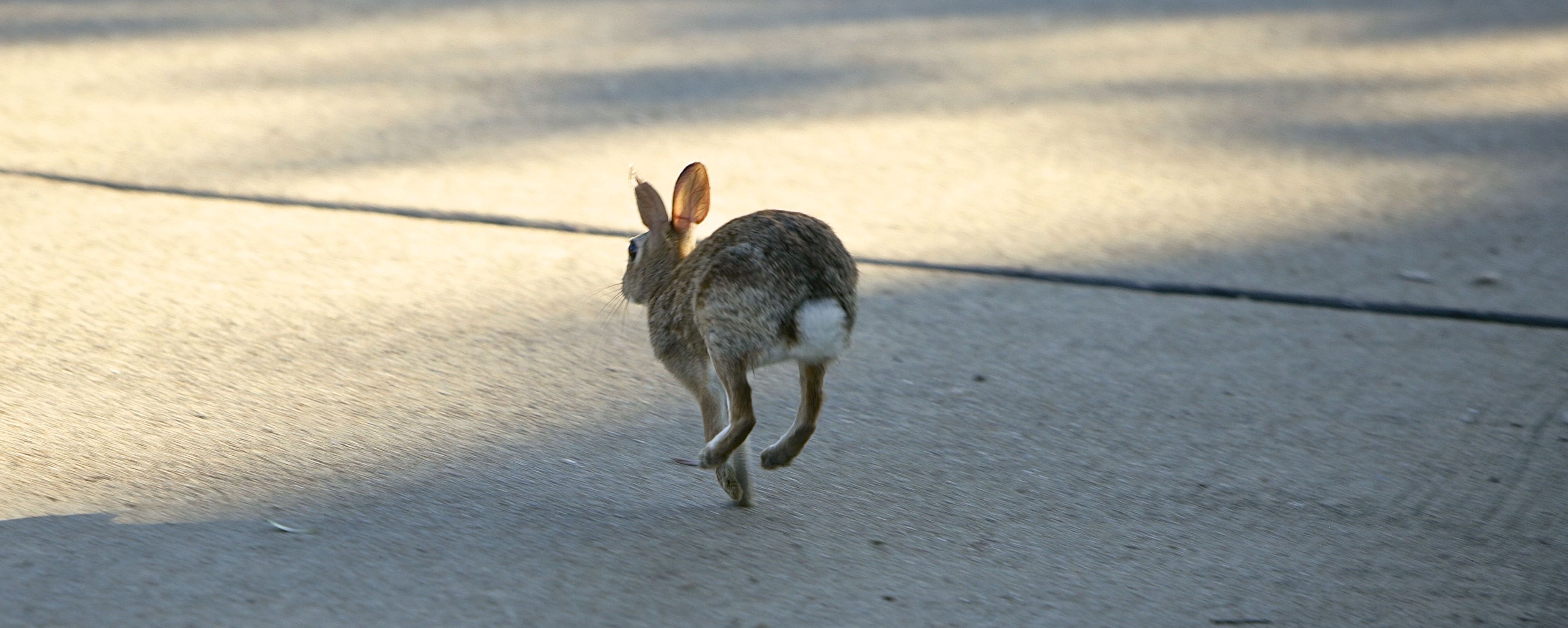 Bossier City Shreveport Subdivisions