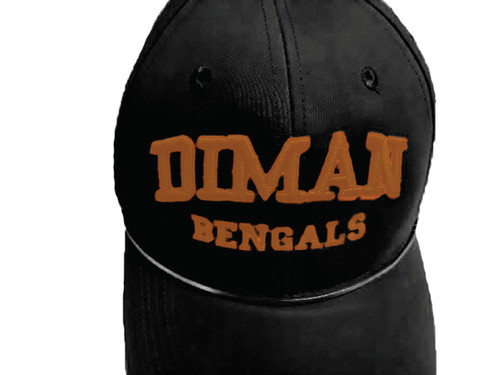 Diman Bengal Baseball Hat | Diman School Store