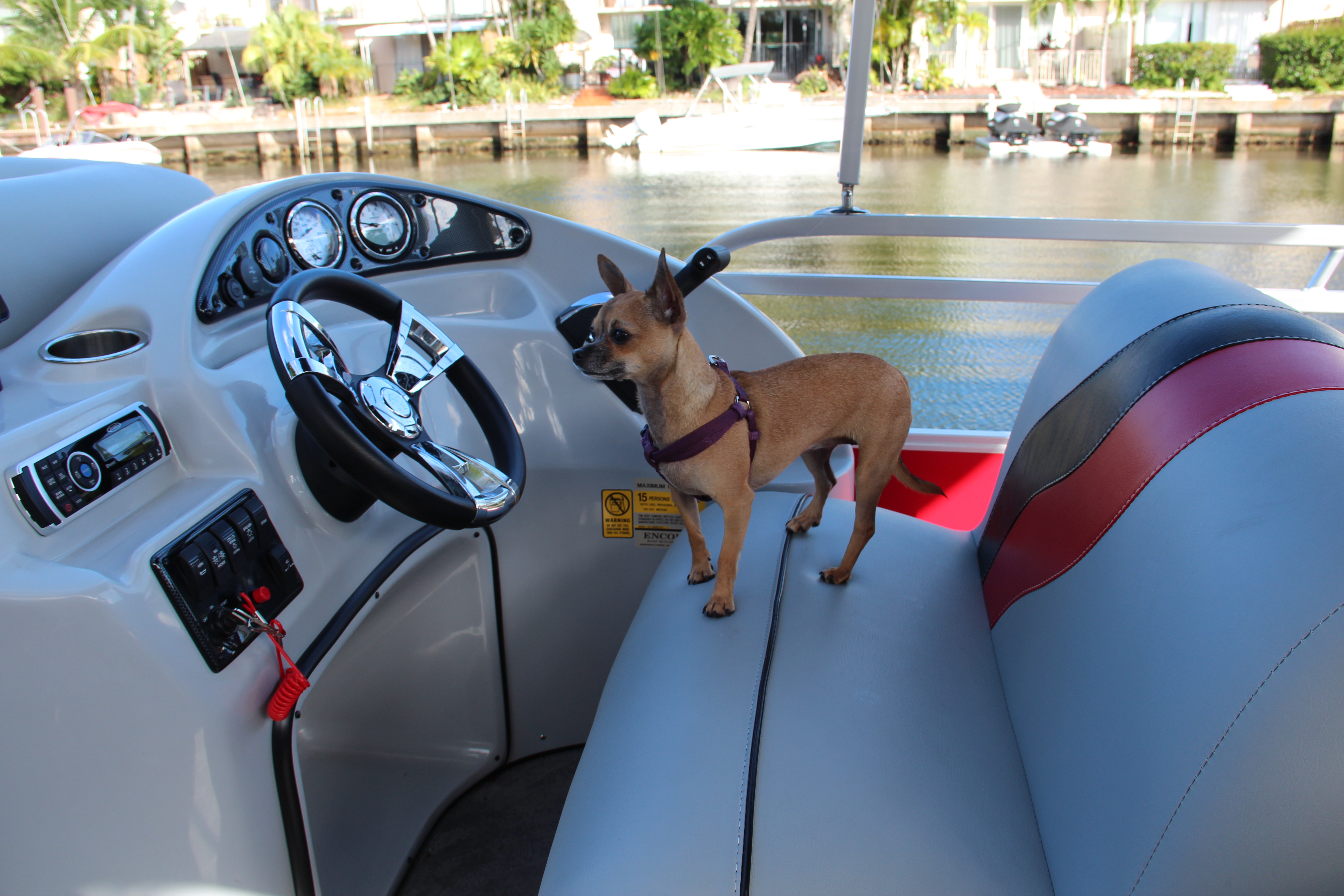 photo boat miami, pontoon, rent a boat miami, hallandale, hollywood