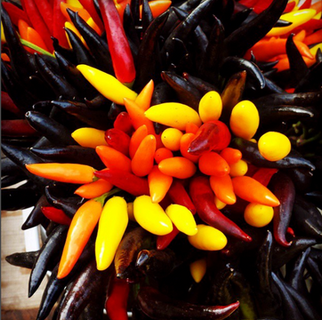 Hand Crafted Jam | Gus & Grey | Made in Detroit