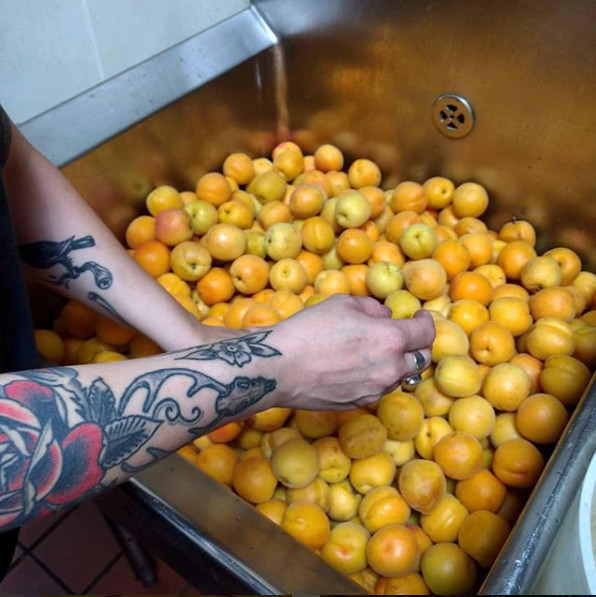 Fullscreen Page | GUS & GREY