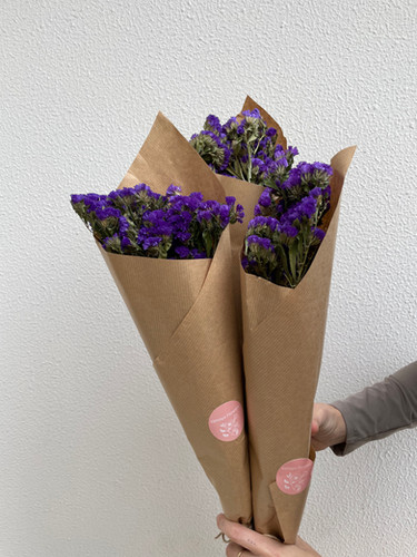 עדעד סגול | Kimaya Flowers