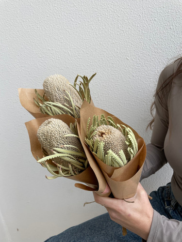 בנקסיה | Kimaya Flowers
