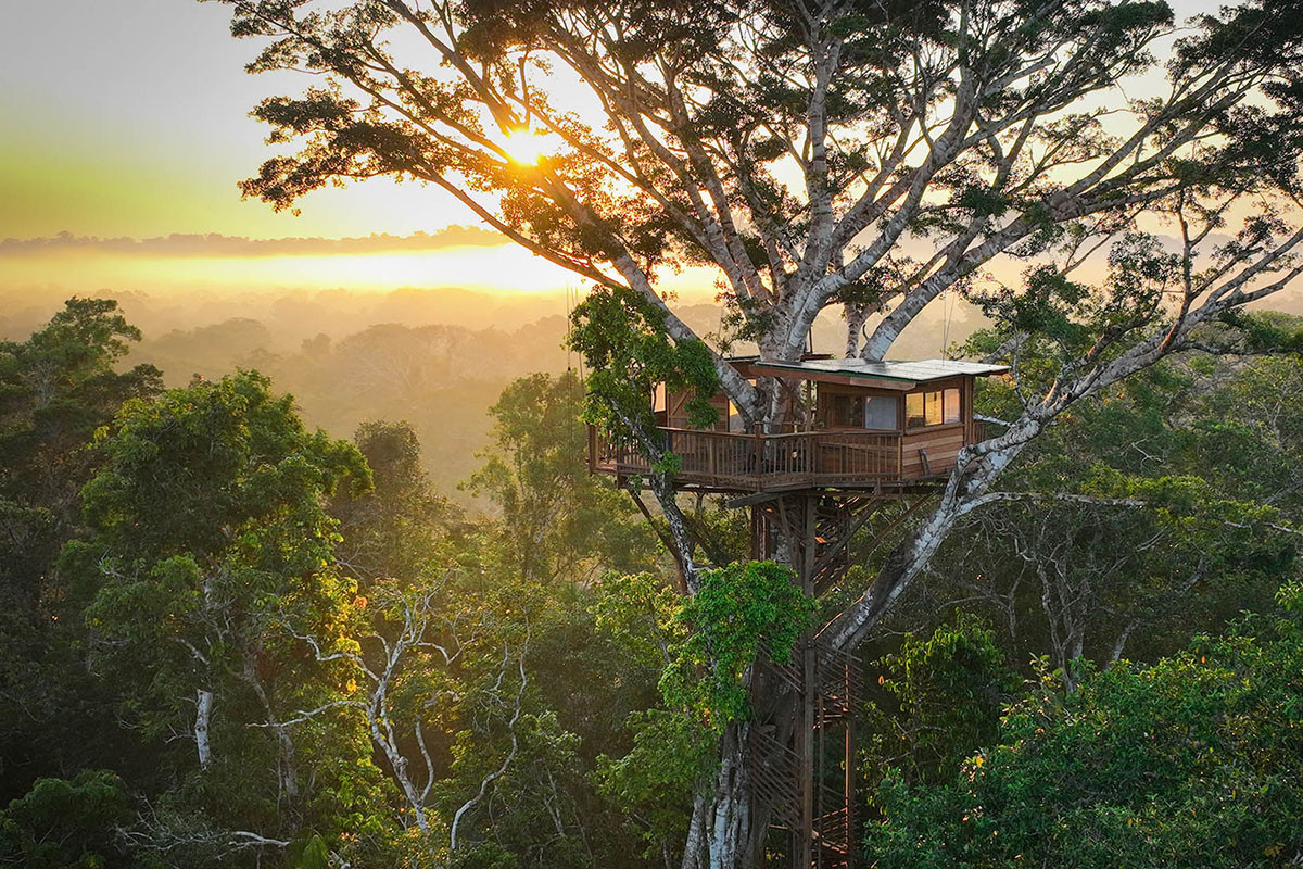 Tree House Community | Luxury Treehouse Builders Worldwide