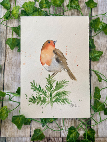 Simple Robin Print | HelenSandersonDesign