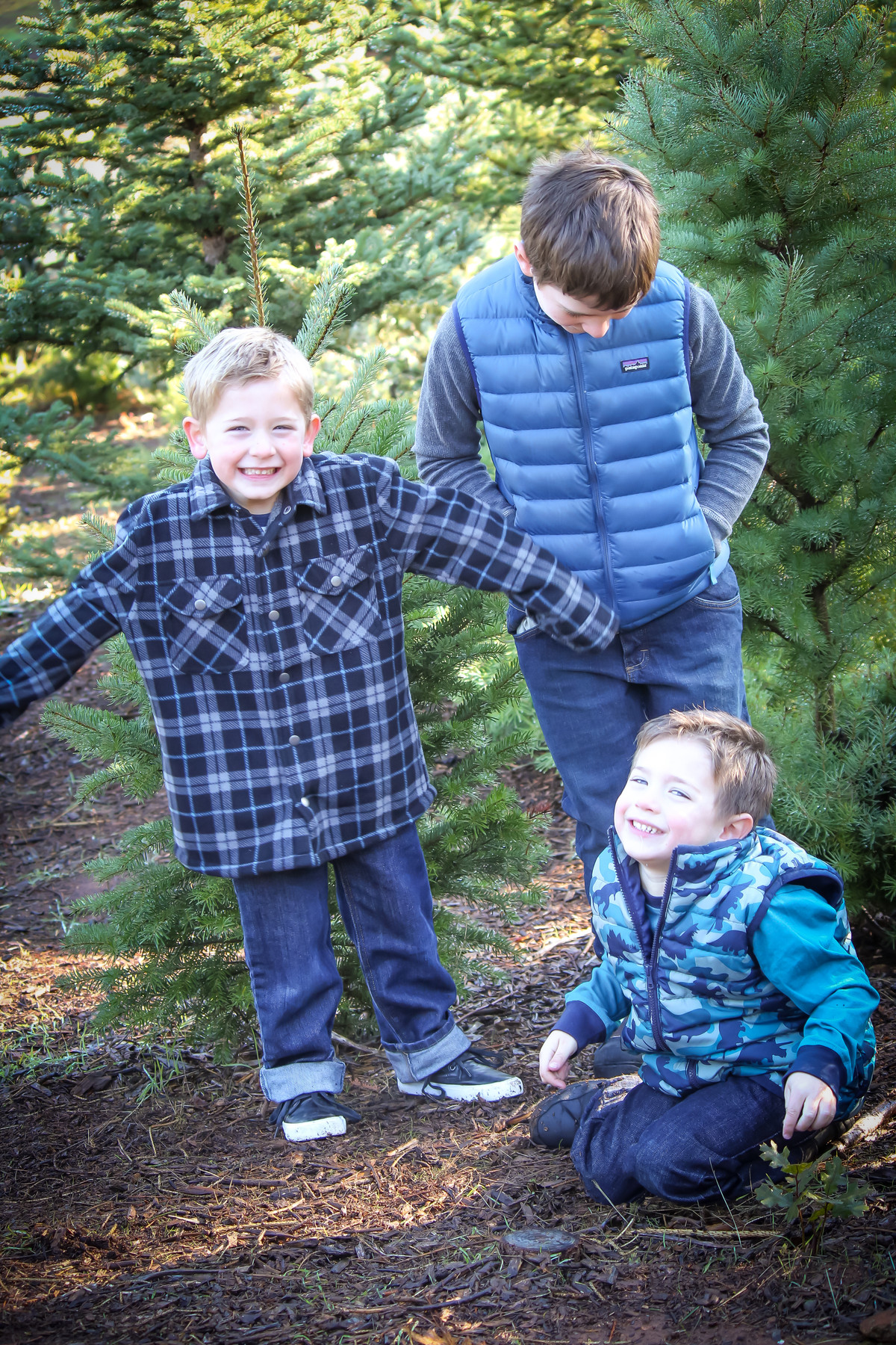 Home | Gallant Family Portr