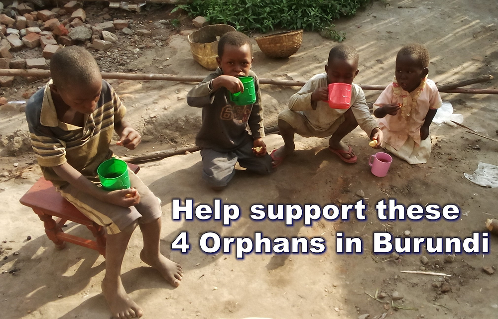 ORPHAN PLACEMENT TRANSITION SUPPORT