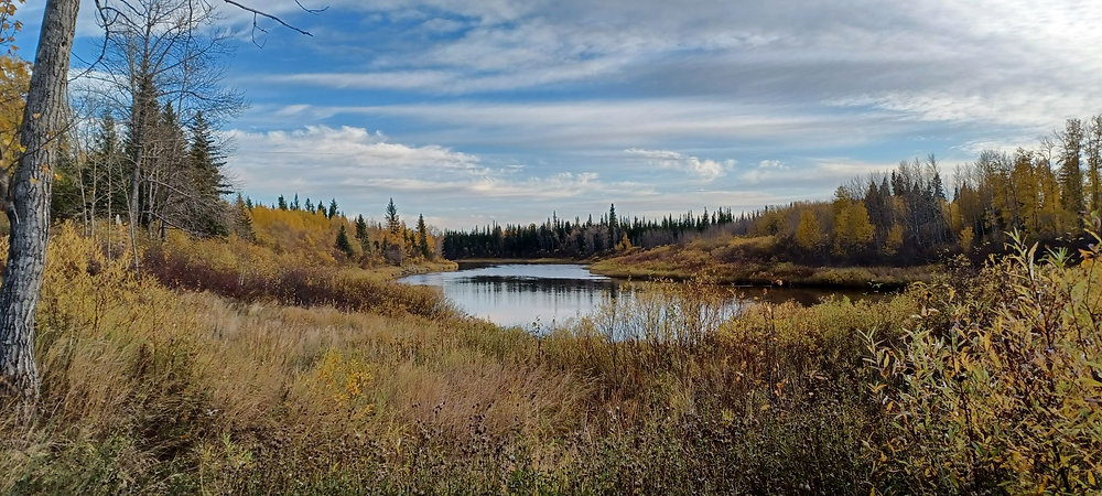 Unmasking Decades of Injustice: Fighting for Clean Water in ...