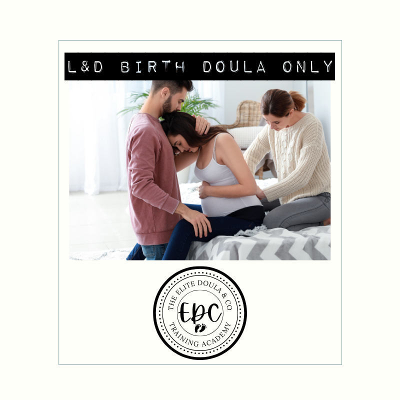 Christian Pro-Life Doula Birth Coach Training Academy | The Elite Doula ...