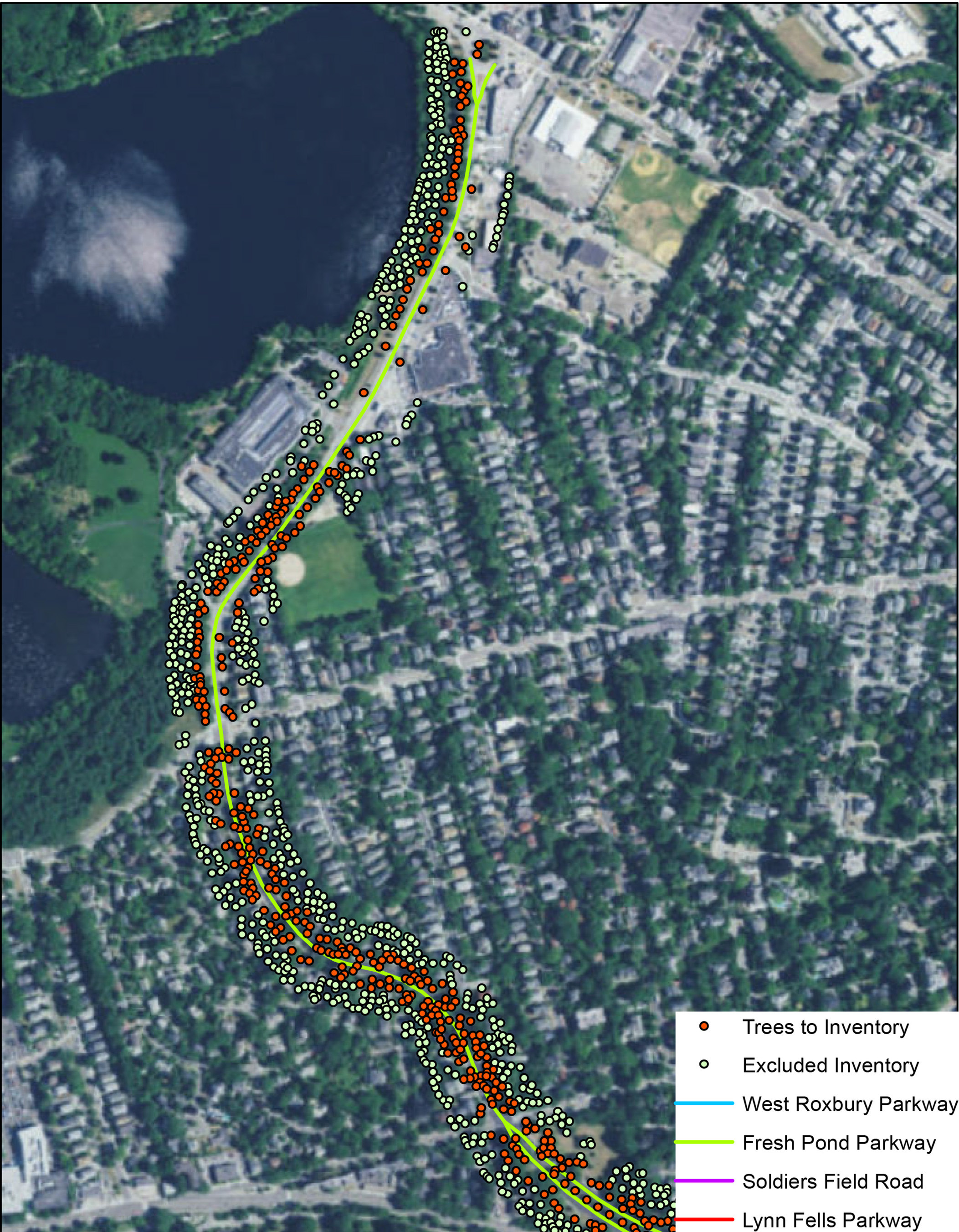 DCR parkways