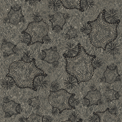 750 Seashell | Dreamtime Flooring