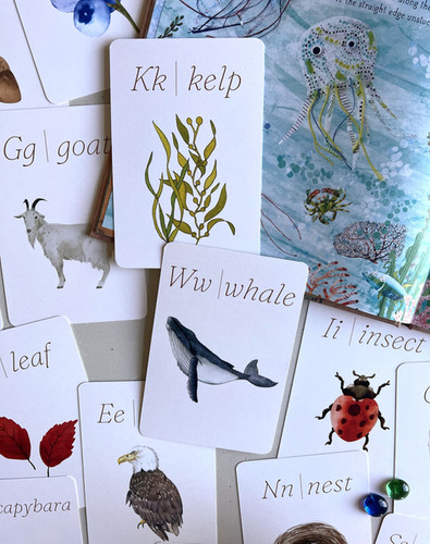 Nature Inspired Alphabet Cards | Willow Academy