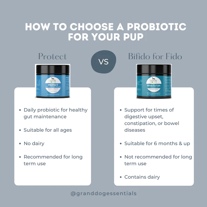 Protect - Soil Based Probiotic | Inner Wolf