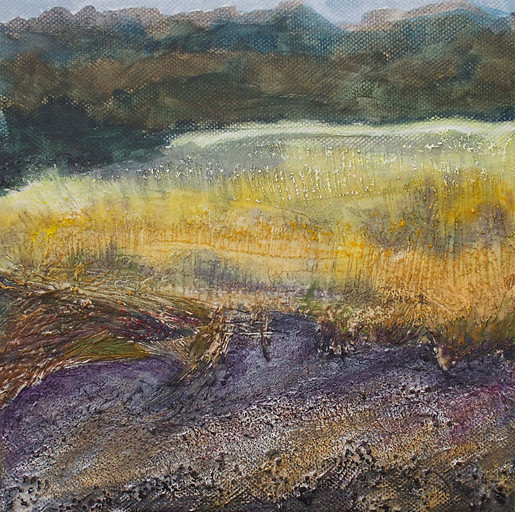 Anne Vassallo Artist based in Chichester