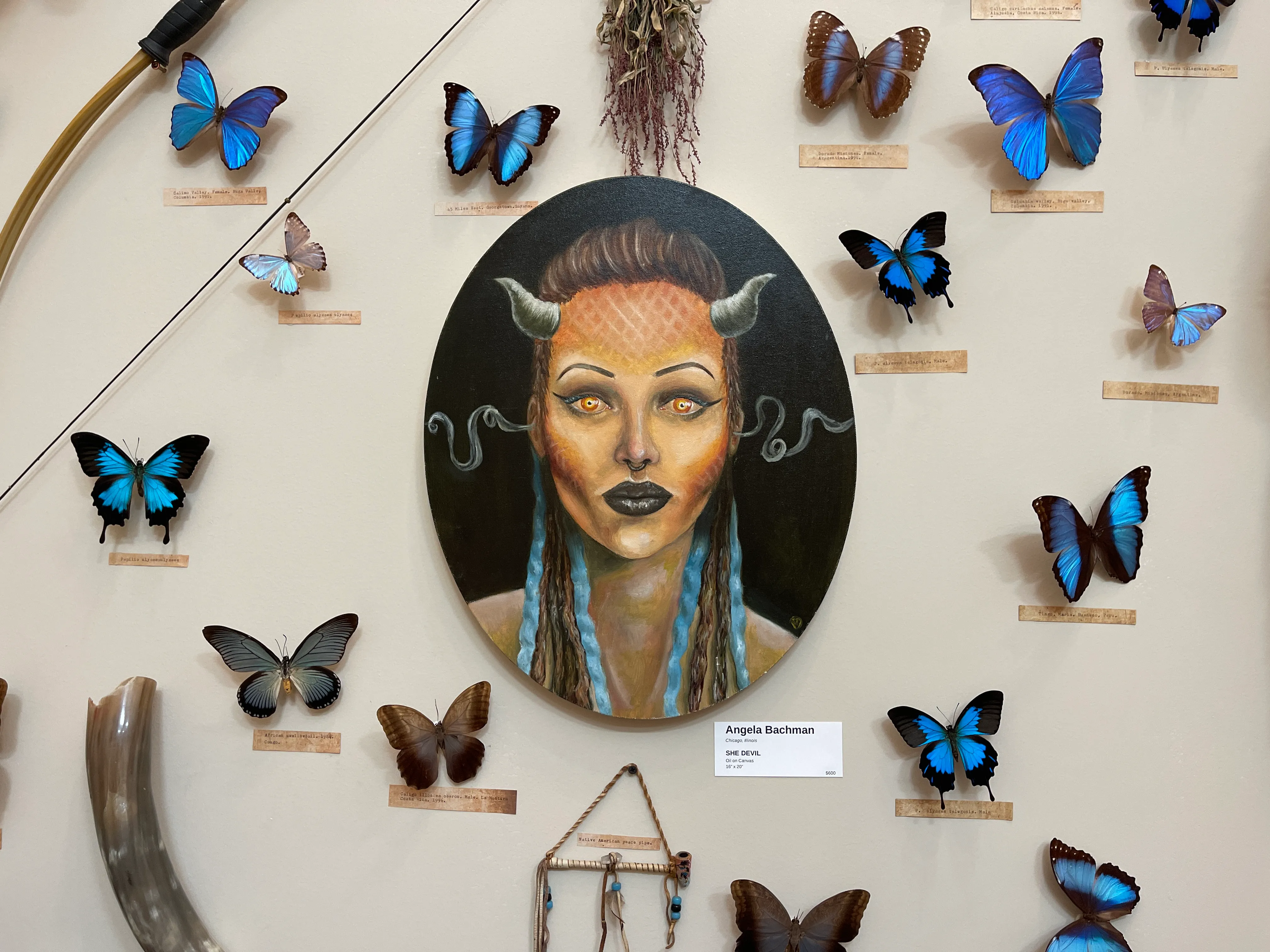 Home | The Insect Asylum