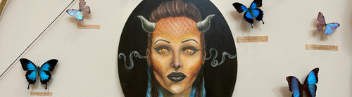 All Products | The Insect Asylum