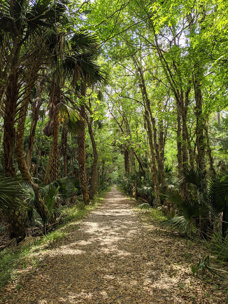 Black Bear Wilderness Trail