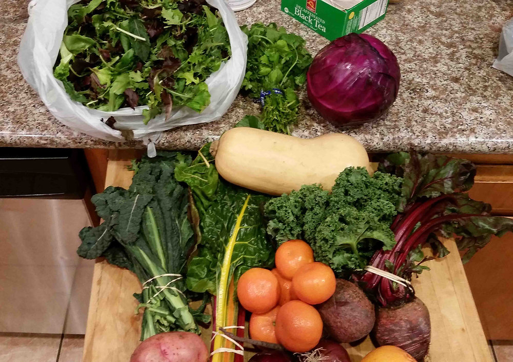 "Four Paths to Food Equity"