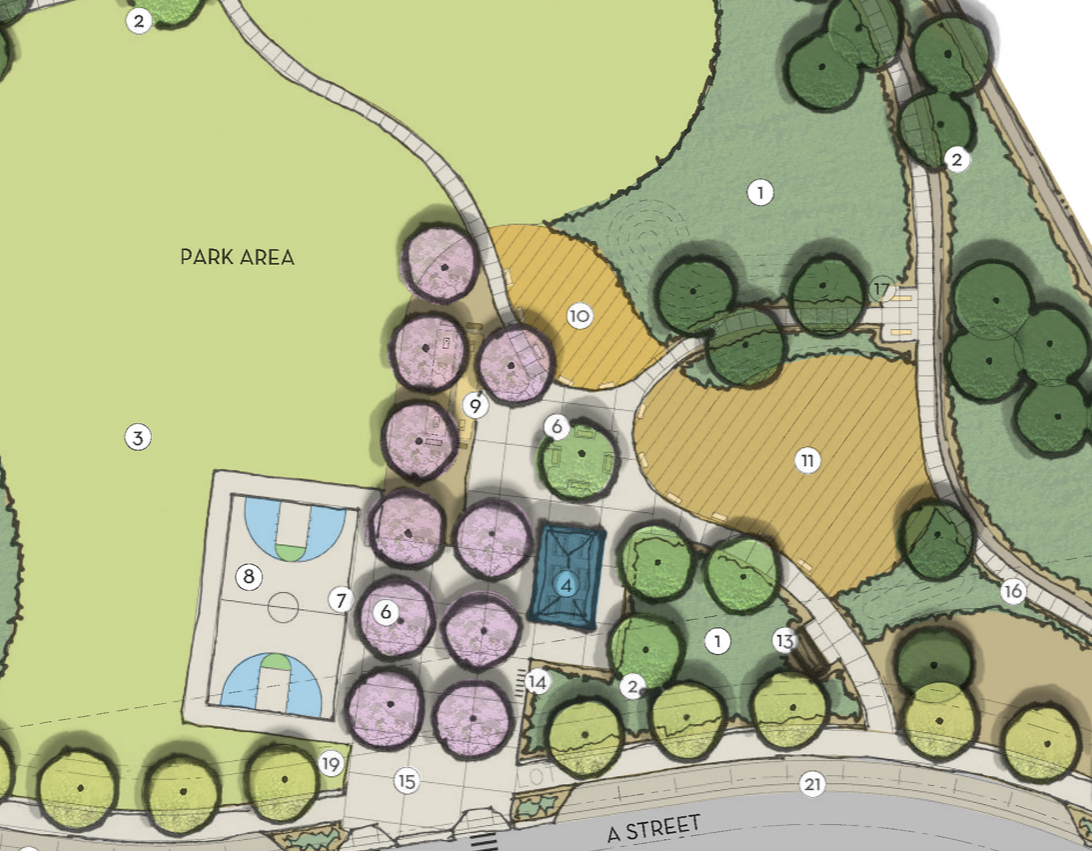 Elliott Springs Parks | Landscape Design Project