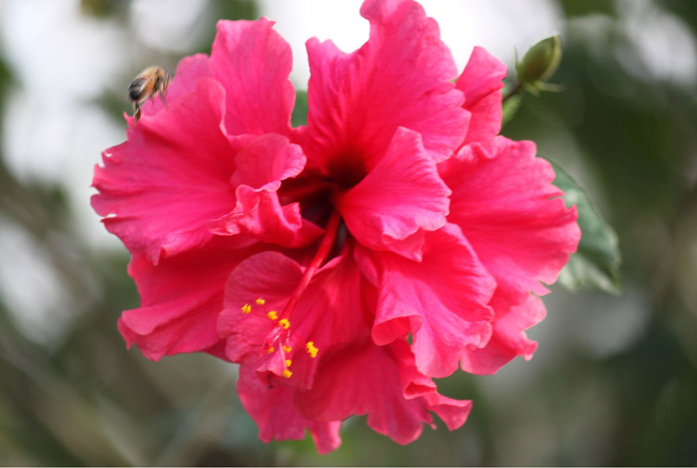 Niche Perfumes for Spring–Summer 2026: The Best New Fragrance Releases ...