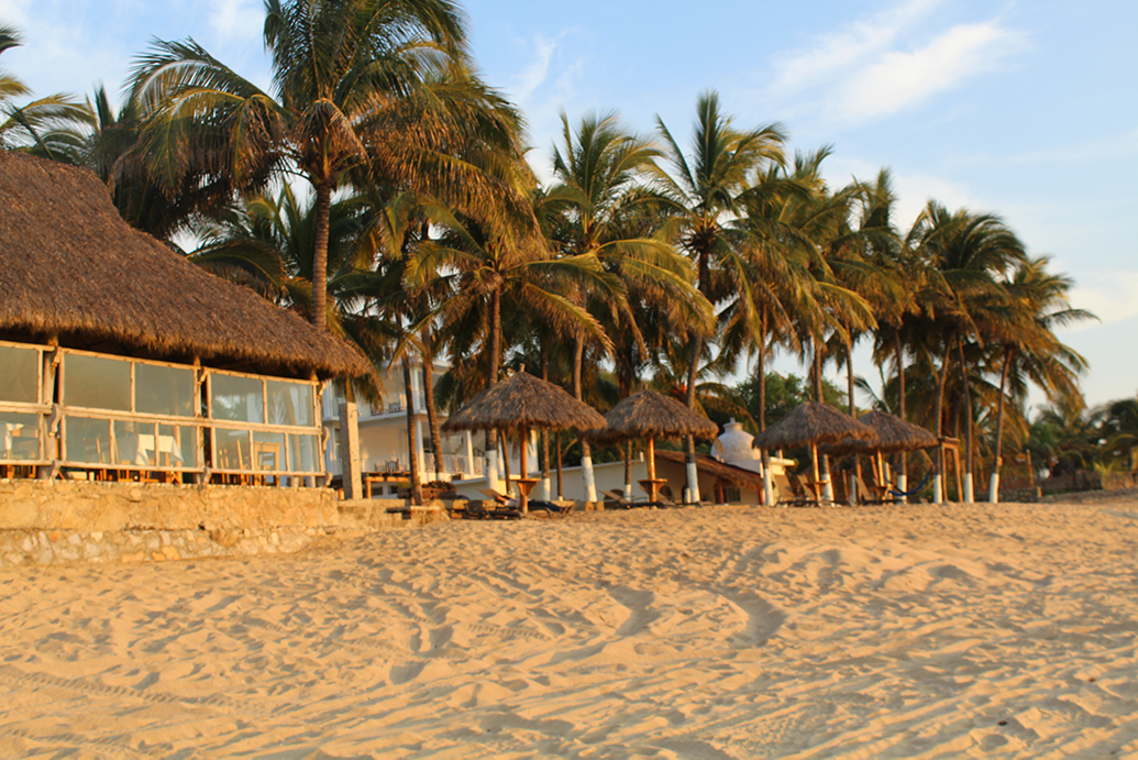 RESTAURANTE Y BAR | hotel-mayto