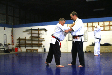 Photos of Danzan Ryu Jujitsu in Santa Rosa