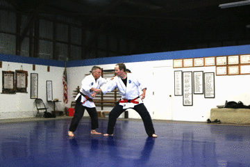 Photos of Danzan Ryu Jujitsu in Santa Rosa