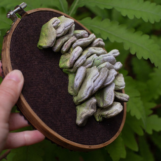 Mixed Media | Emma Mattson Photography | Baltimore