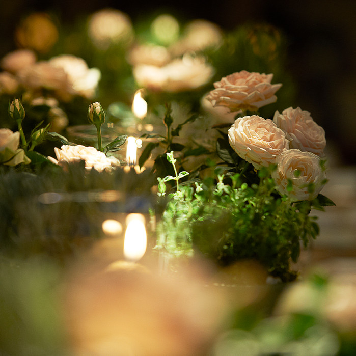 Home | John Carter Flowers